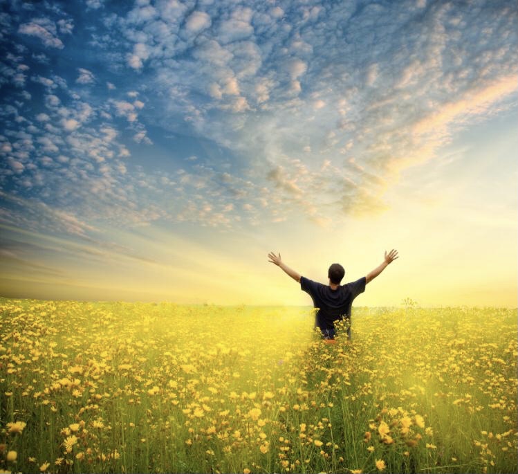 Discover Your Spiritual Treasure - Book Store